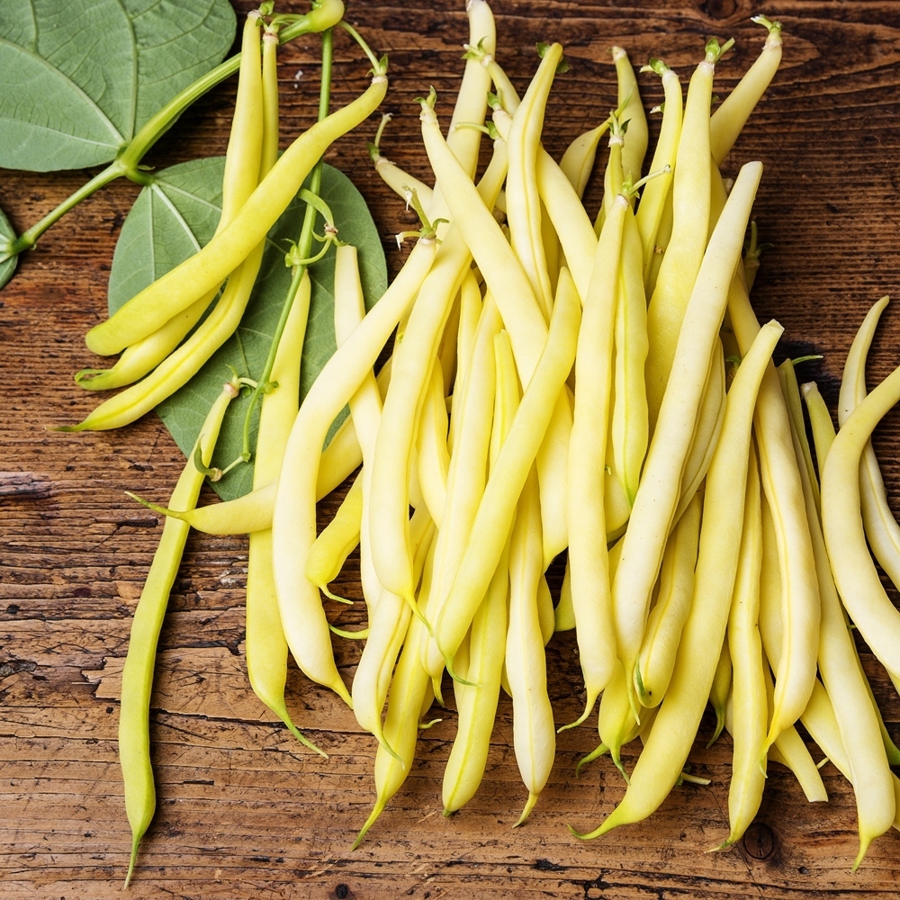 Bób, groch, fasola - zestaw 3 odmian nasion warzyw - Sklep Świat ...