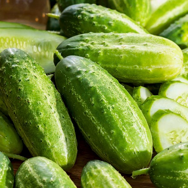 Ogórek Royal F1 - gruntowy - Sklep Świat Kwiatów | Dostawa gratis!