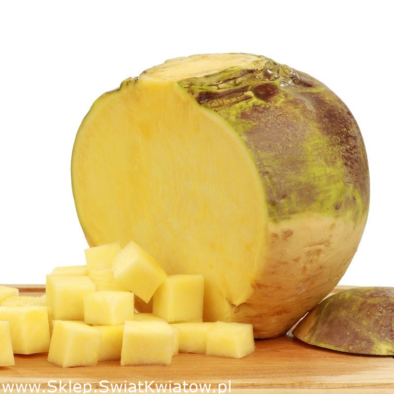 Brukiew Kaszubska - o niewielkich wymaganiach glebowych - Sklep Świat ...