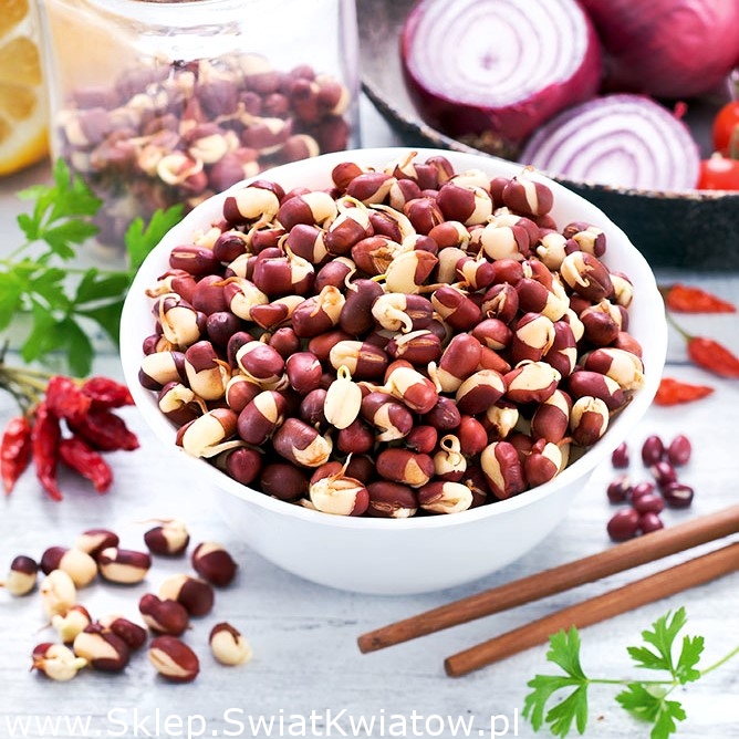 Nasiona na kiełki - Fasola Adzuki - 250 gram - Sklep Świat Kwiatów ...